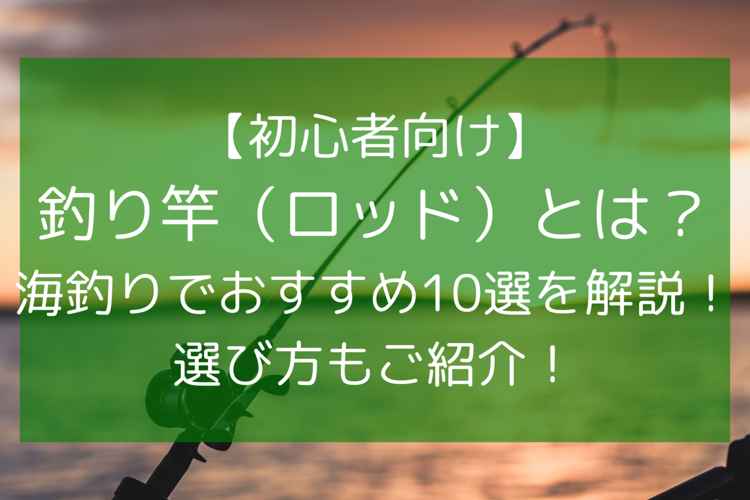【初心者向け】釣り竿（ロッド）とは？海釣りでおすすめ10選を解説！選び方もご紹介！ - commit step