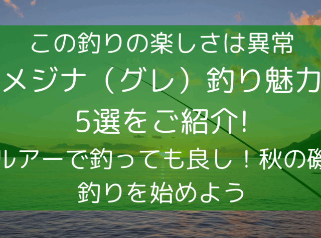 船釣りの服装は？季節ごと（春夏秋冬）に最適なウェアー&持ち物を解説します！ - commit step